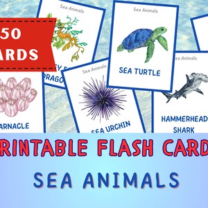 50 Sea Animals Cards Montessori Flash Cards Pre-school - Etsy