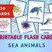 50 Sea Animals Cards, Montessori Flash Cards, Pre-school Cards ...