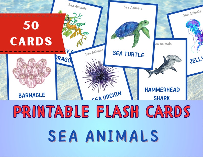 50 Sea Animals Cards, Montessori Flash Cards, Pre-school Cards ...