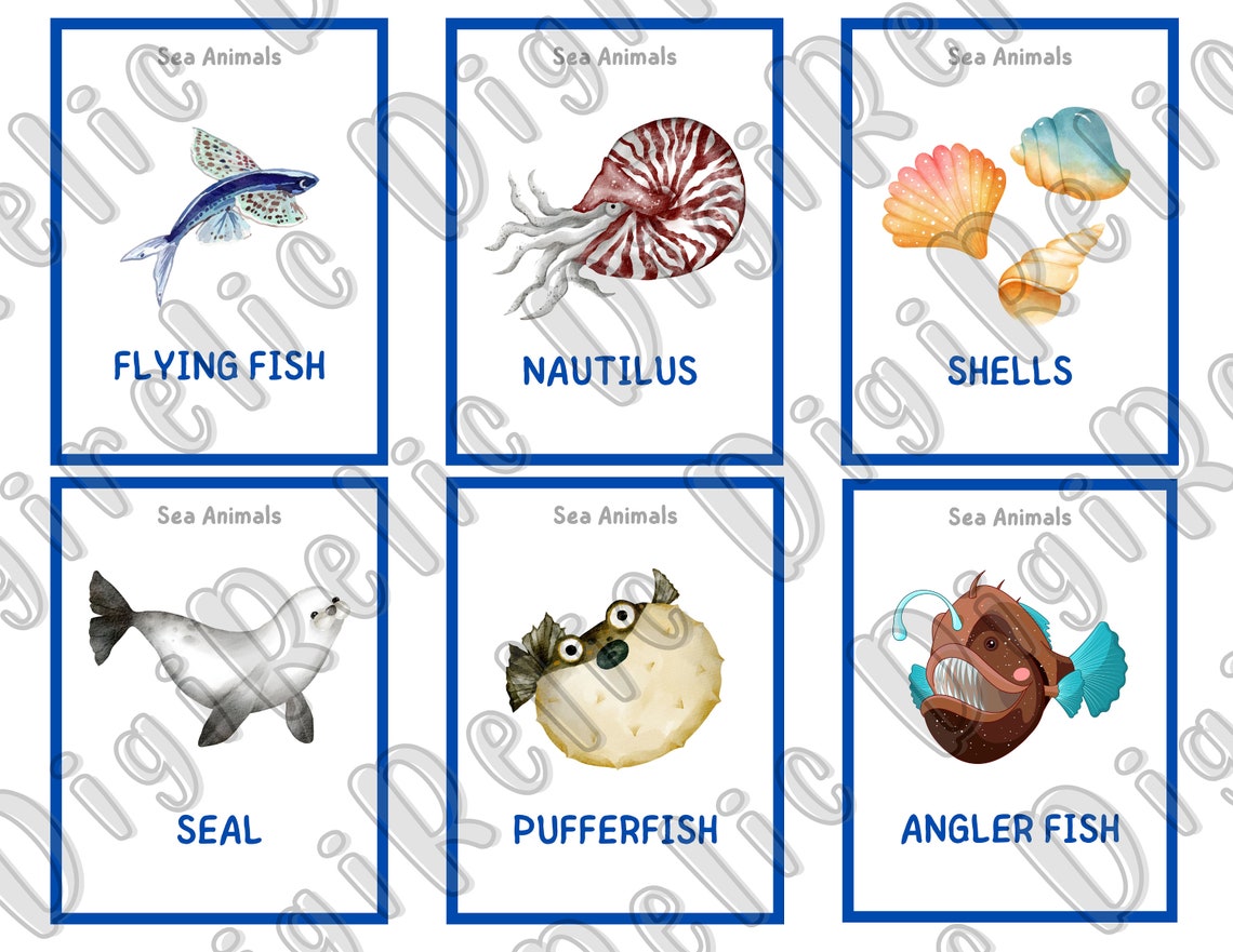 50 Sea Animals Cards, Montessori Flash Cards, Pre-school Cards ...