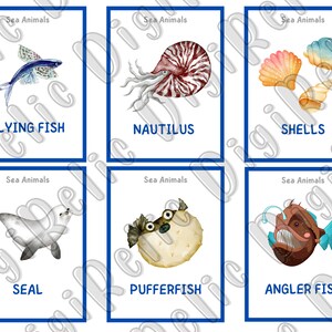 50 Sea Animals Cards, Montessori Flash Cards, Pre-school Cards ...