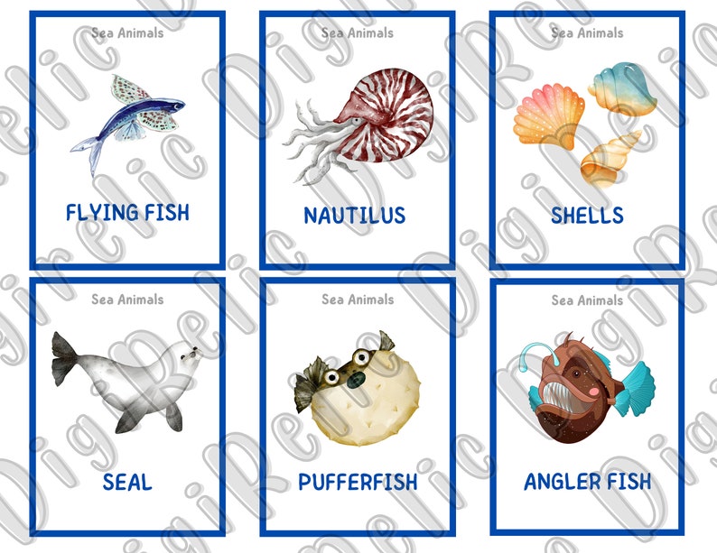 50 Sea Animals Cards, Montessori Flash Cards, Pre-school Cards ...