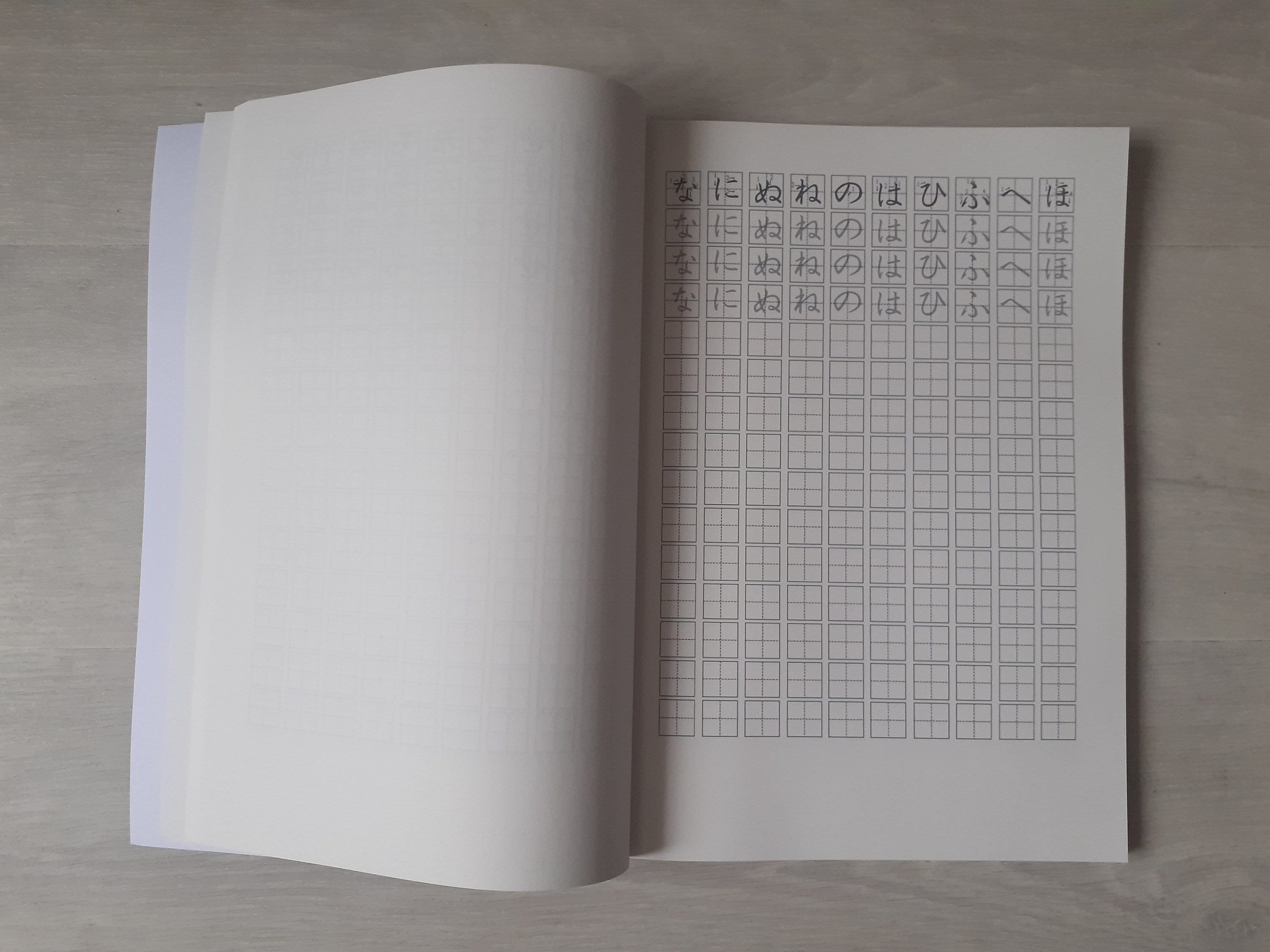 Hiragana and Katakana Writing Notebook: A4 Format for Beginners in ...