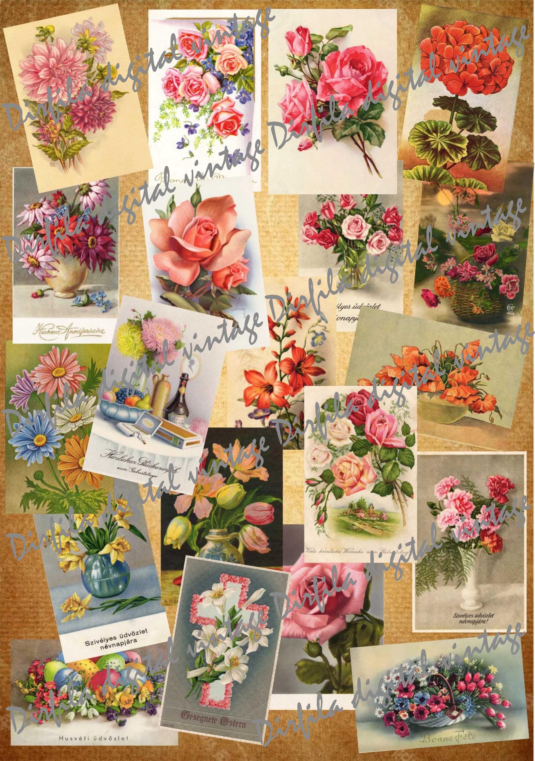 Vintage Postcards Flowers, 40 Flower Postcards, High Quality Digital ...