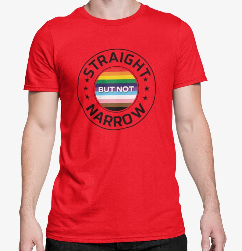 Ally Pride T-shirt, Straight but Not Narrow Slogan Tee, Unisex LGBTQ ...