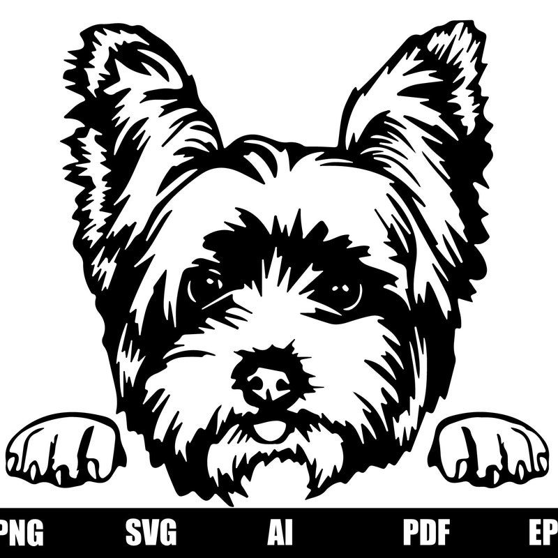 Yorkie Svg - Etsy