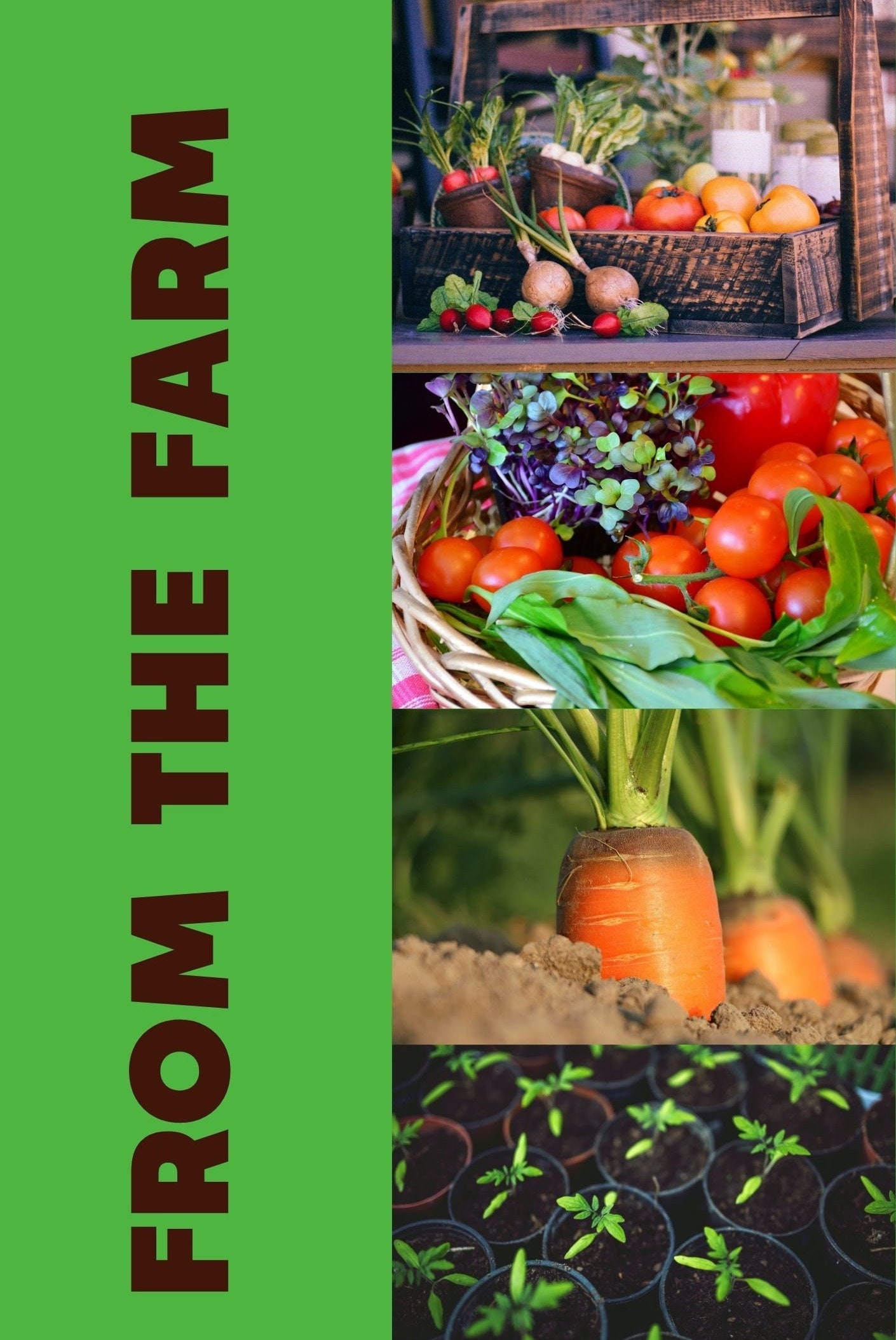 Sustainable Living Local Food Movement Farm-to-table Seasonal Eating ...