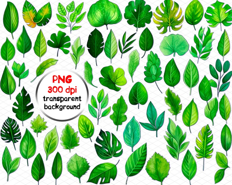 111 PNG Green Leaves Stickers Sheet, Green Leafs Stickers Design, for ...