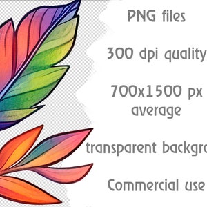 24 PNG Rainbow Leaves Clipart Set Holographic Leaves Digital Images ...