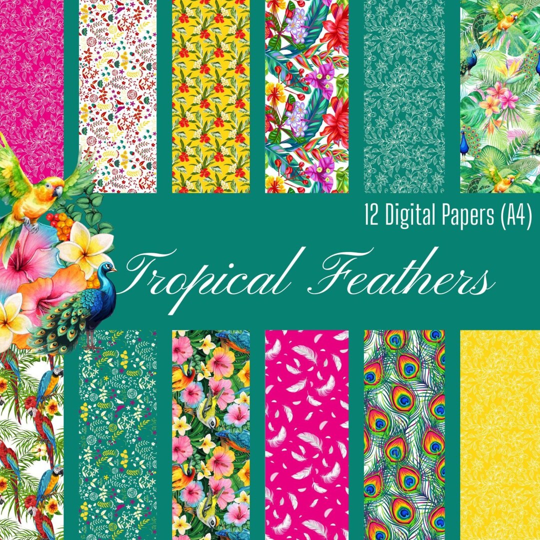 Tropical Feathers 12pc A4 Digital Paper Kit - Etsy