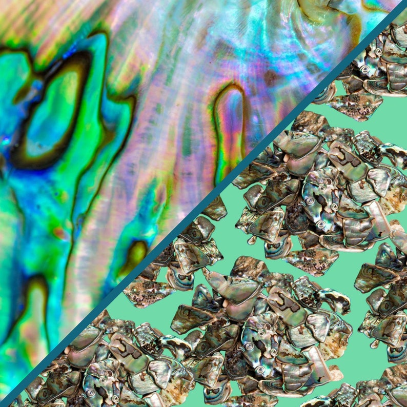 Paua Perfect 12pc A4 Digital Paper Kit - Etsy