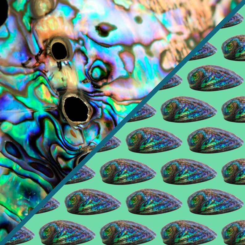 Paua Perfect 12pc A4 Digital Paper Kit - Etsy