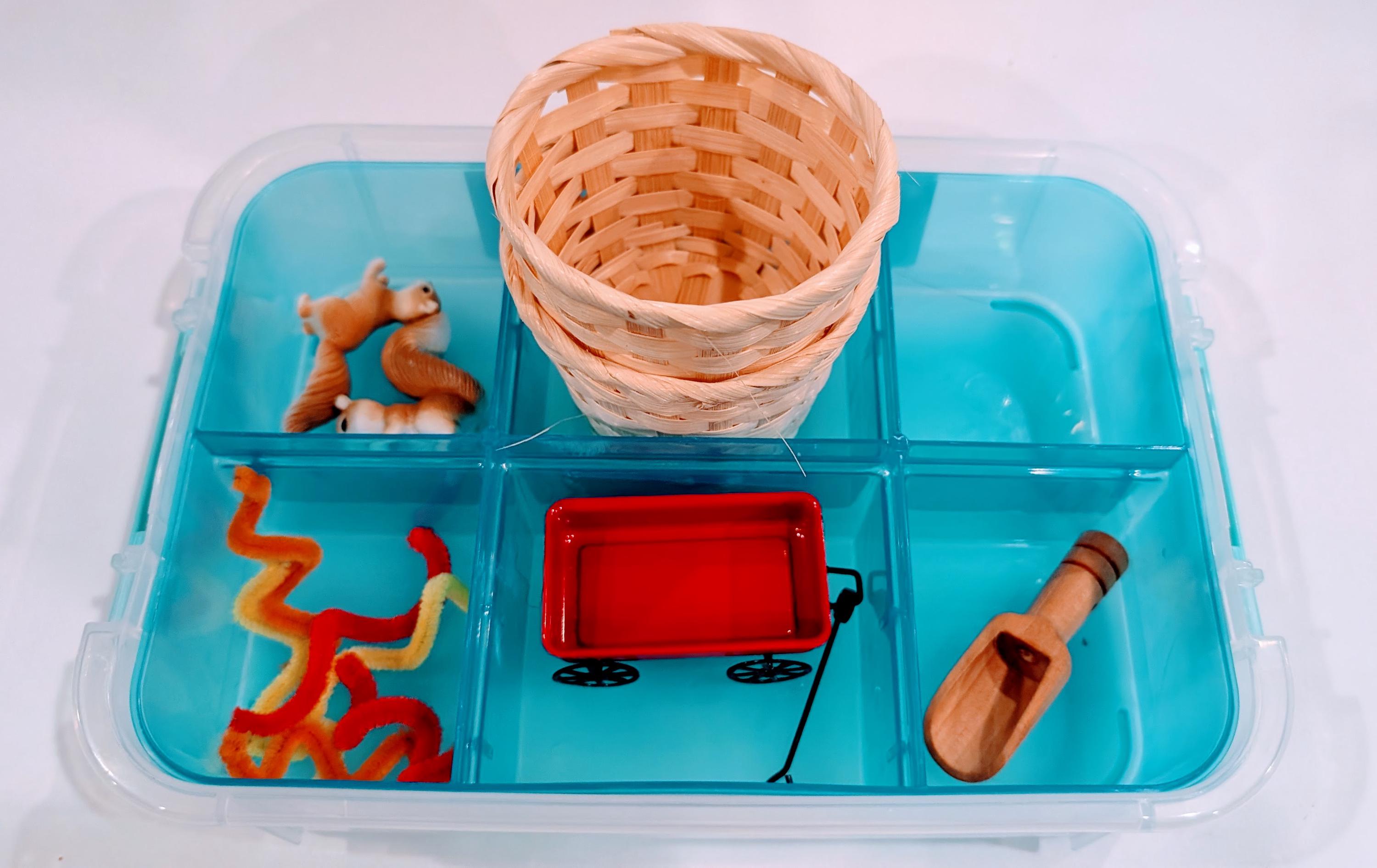 Fall Harvest Sensory Bin - Etsy