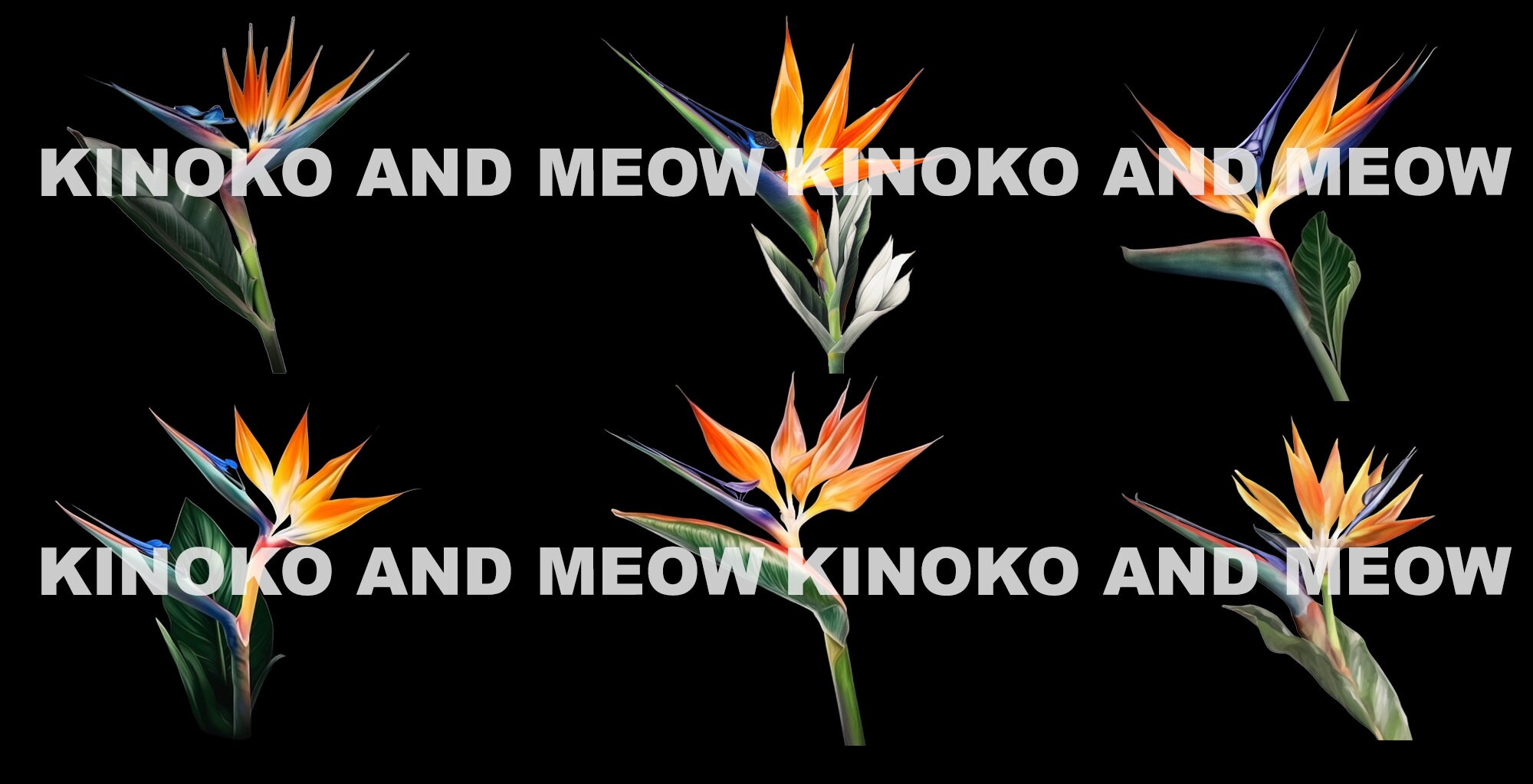 Watercolor Birds of Paradise Flowers Digital Paper: Beautiful Seamless ...