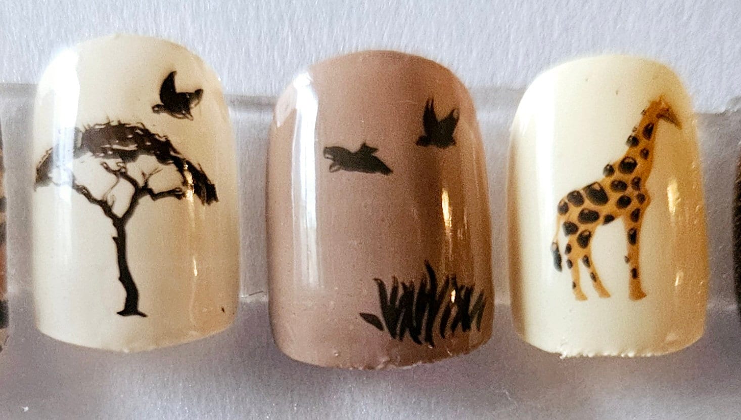 Welcome to the Safari Press on Nails Set - Etsy