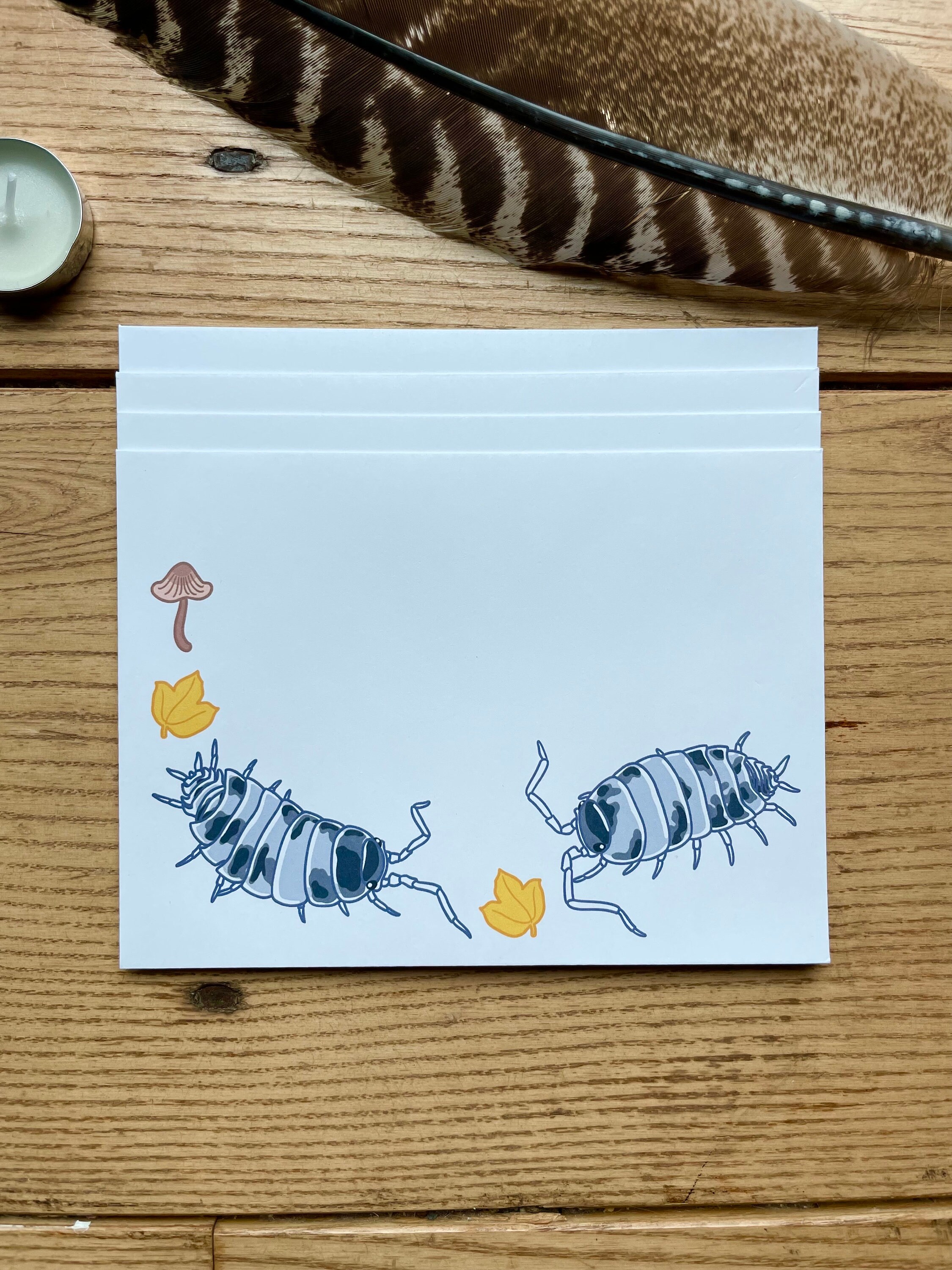 Isopod Stationery A5 Letter Set - Cookie Crumble Isopod - Cute Kawaii ...