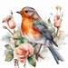 Robin Clipart Watercolor Clipart Jpgs Set of 12 Digital Download ...