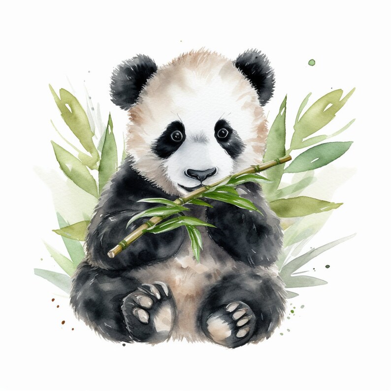 Baby Panda Clipart, Watercolor Clipart Jpgs Set of 12 Digital Download ...