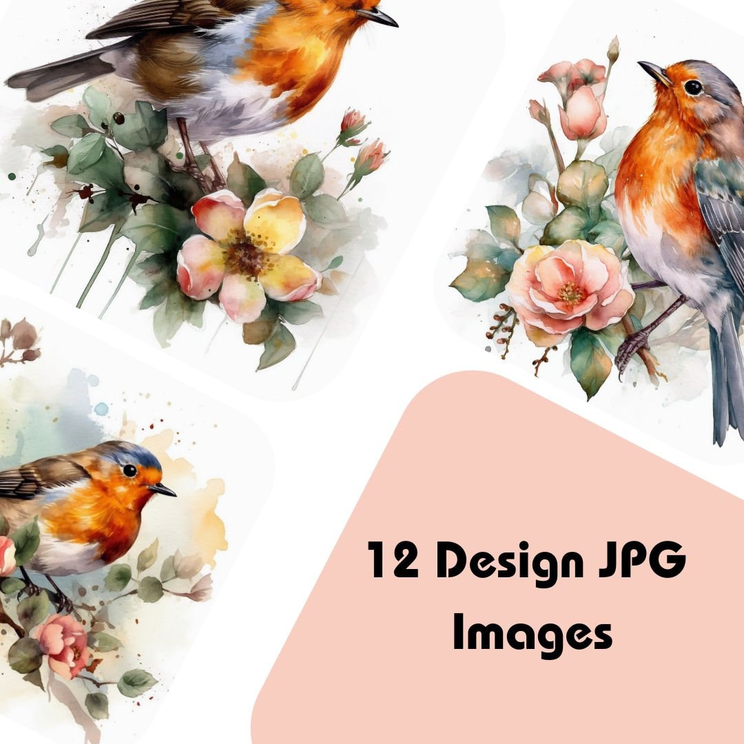 Robin Clipart - Watercolor Clipart Jpgs - Set of 12 Digital Download ...