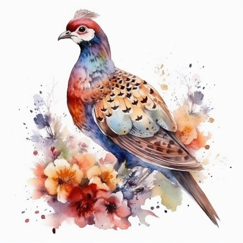 Grouse Clipart Watercolor Clipart Jpgs Set of 12 Digital - Etsy