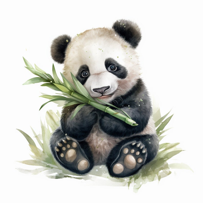 Baby Panda Clipart, Watercolor Clipart Jpgs Set of 12 Digital Download ...