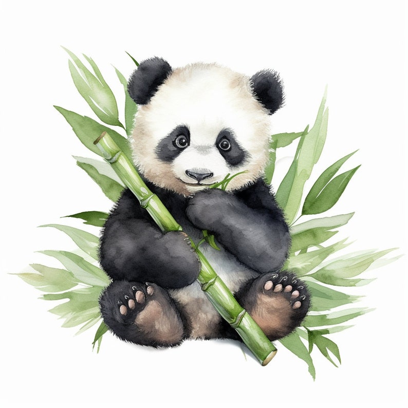 Baby Panda Clipart, Watercolor Clipart Jpgs - Set of 12 Digital ...