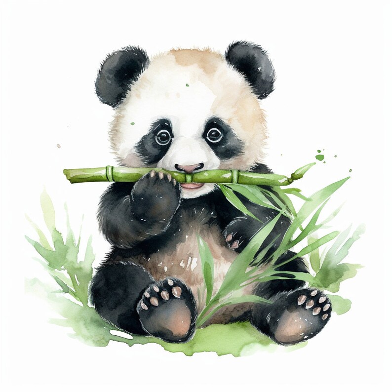 Baby Panda Clipart, Watercolor Clipart Jpgs - Set of 12 Digital ...