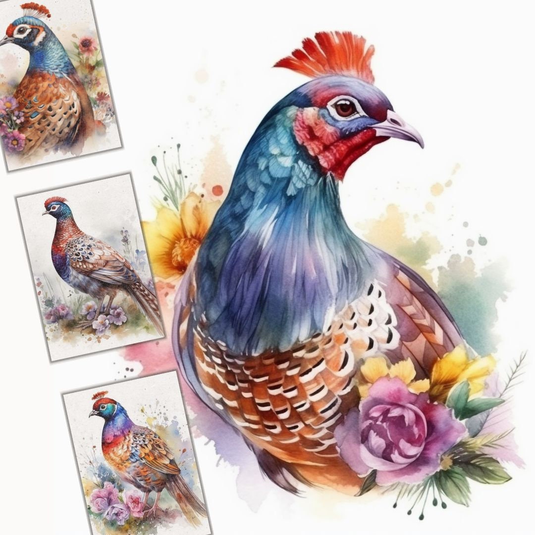 Grouse Clipart - Watercolor Clipart Jpgs - Set of 12 Digital Download ...