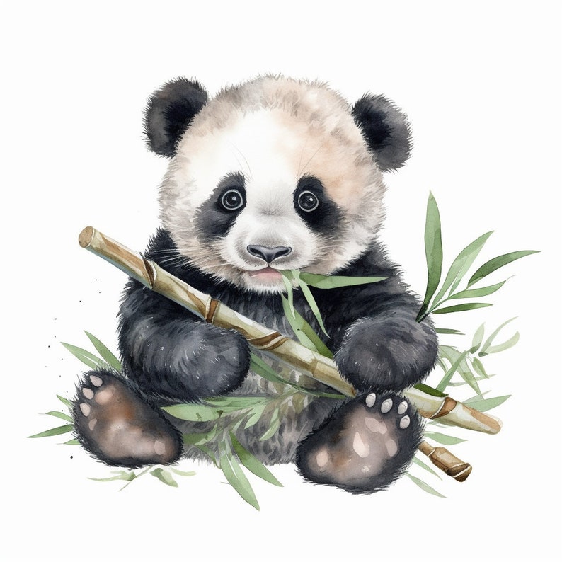 Baby Panda Clipart, Watercolor Clipart Jpgs - Set of 12 Digital ...