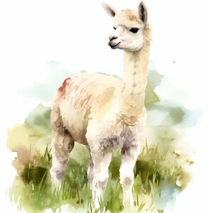 Baby Cria Clipart, 20 Non-transparent JPG Images , Watercolor Clipart ...