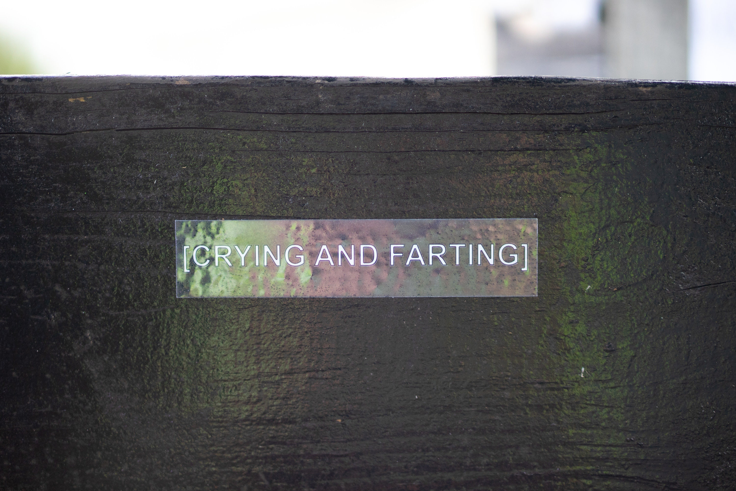 Crying and Farting Subs Bumper Sticker - Etsy