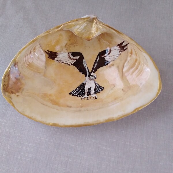 Hand Painted Shells - Etsy