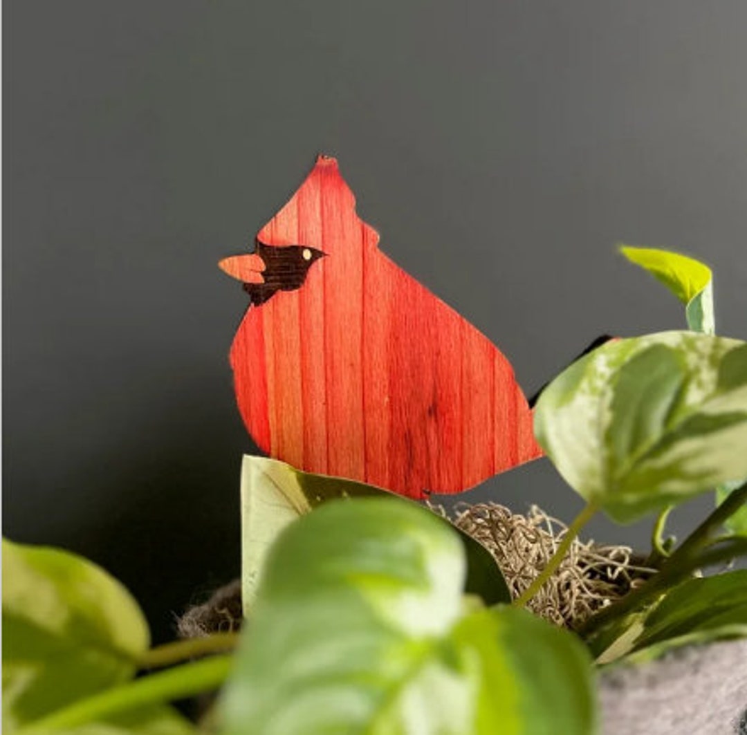 Cardinal Flora FOOD Friend Garden Stake With Fertilizer - Etsy