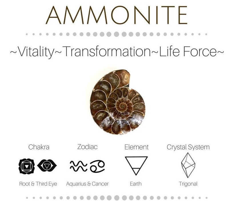 Ammonite; Handmade; Shell Jewelry; Witch Ladder; Elemental; Prayer ...