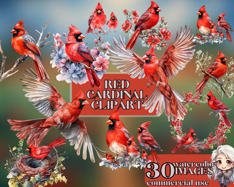 Red Cardinal Clipart, 30 High Quality Pngs, Digital Download | Card ...
