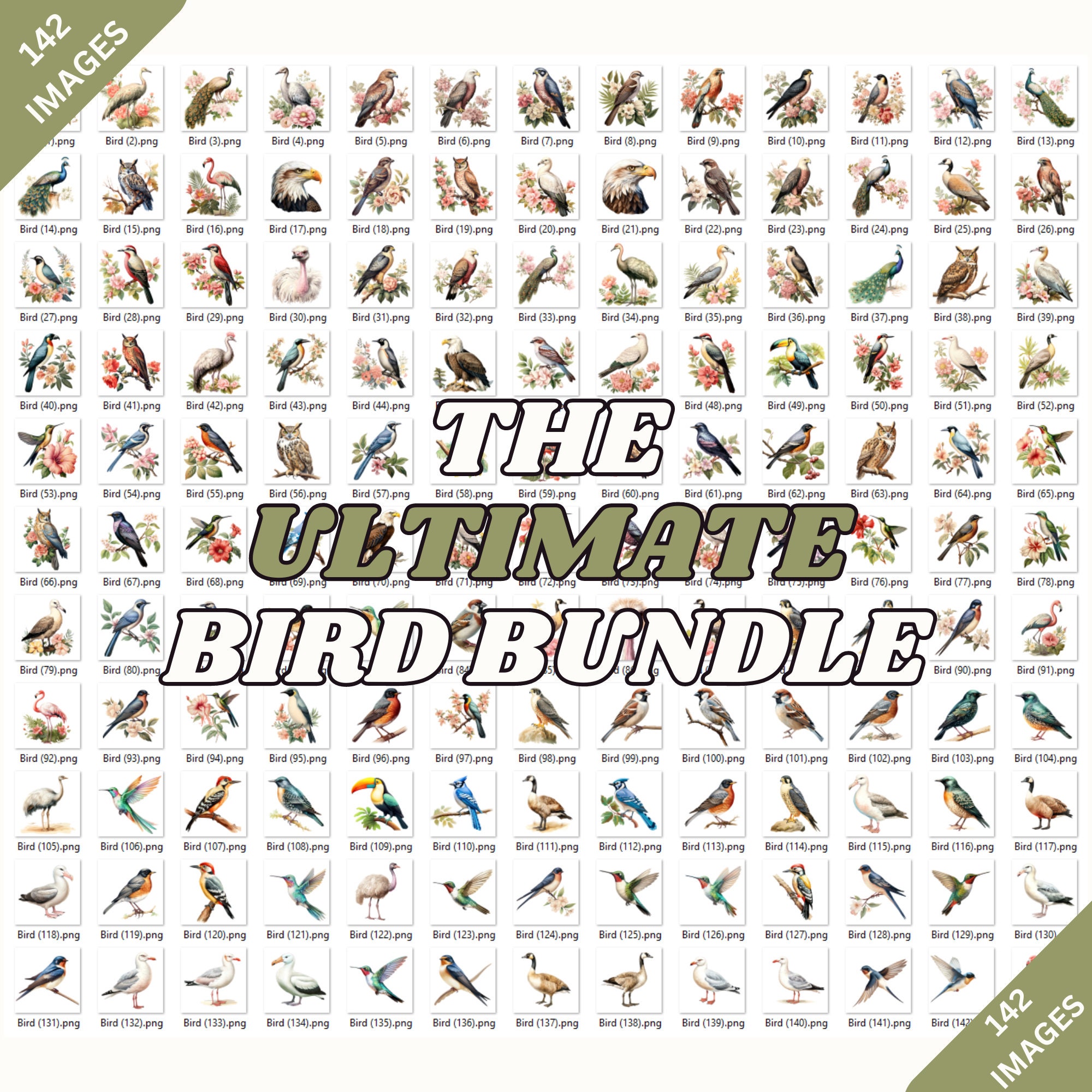 The Ultimate Bird Clipart Bundle 142 Watercolor Birds Clip - Etsy