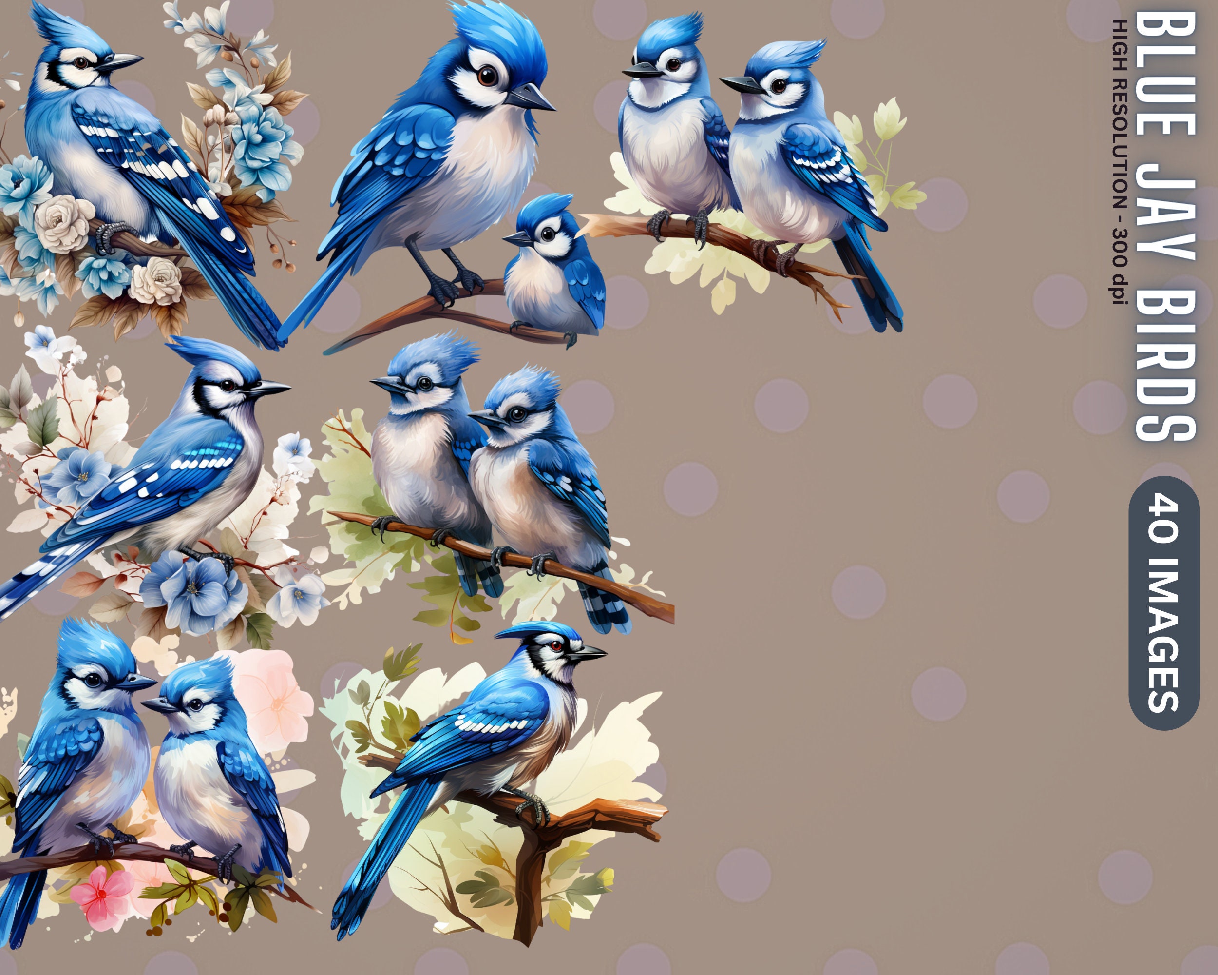 Blue Jay Bird Clipart Watercolor Blue Jay Birds Clip Art, Bird Nests ...