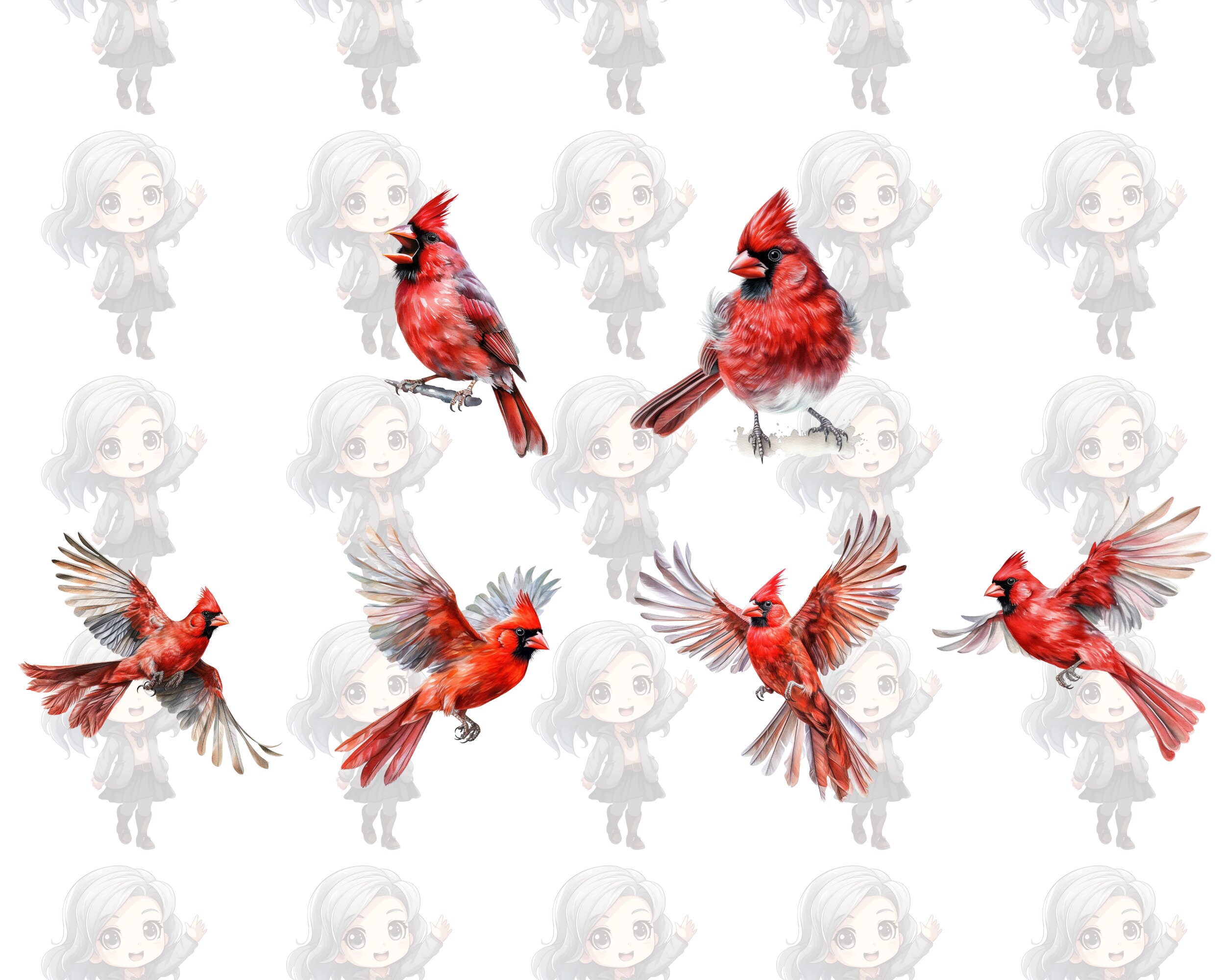 Watercolor Red Cardinal Clipart: 30 PNG Bird Images (digital Download ...