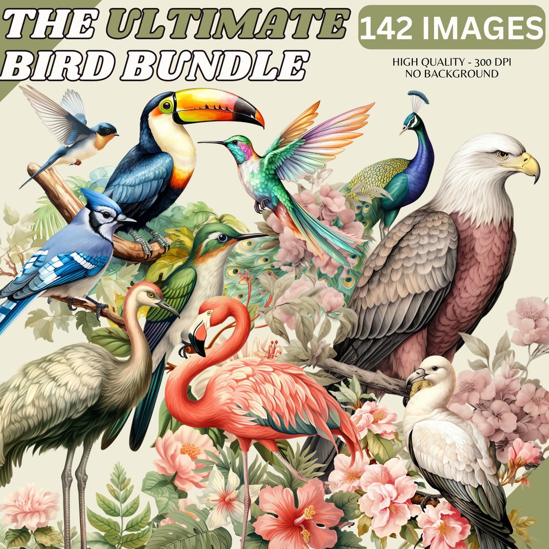 The Ultimate Bird Clipart Bundle - 142 Watercolor Birds Clip Art, Red ...