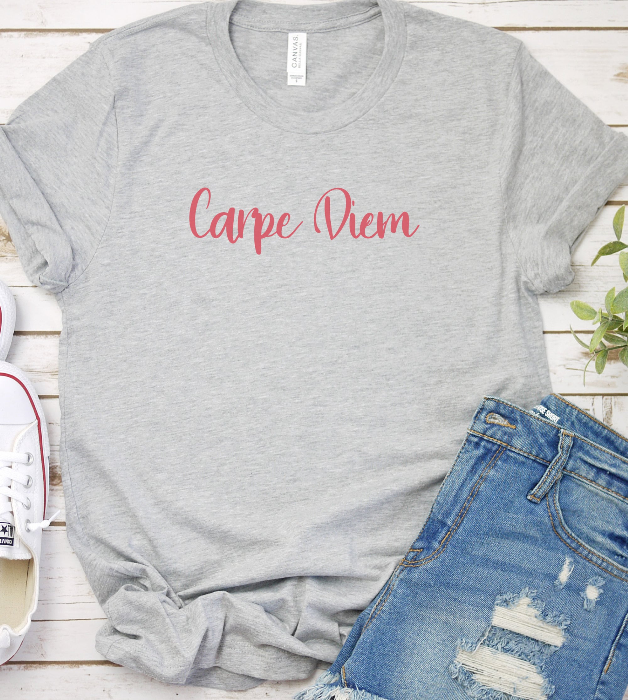 Carpe Diem Italian T-shirt Seize the Day Shirt Family Tshirt Carpe Diem ...