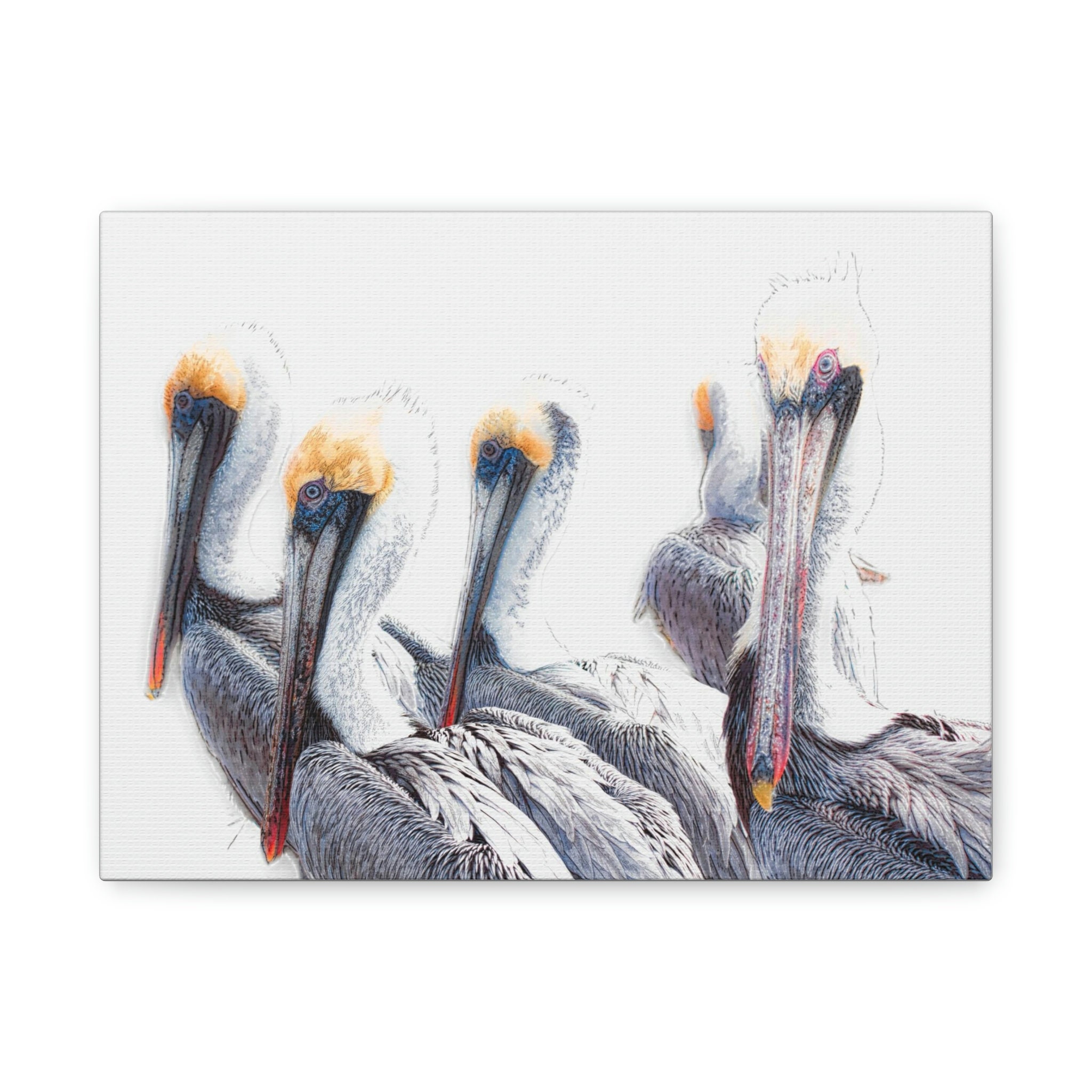Pelican Wall Art, Home Canvas Print, Beach Decor, Gifts, Zen Den, Ocean ...