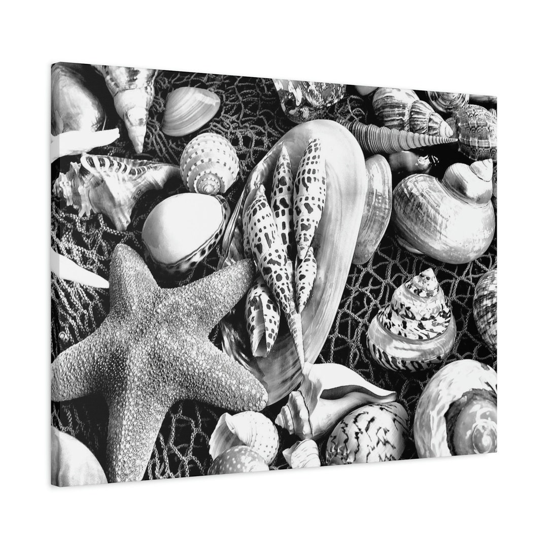 Seashell Decor, Beach Wall Art, Housewarming Gift, Beach House Sign ...