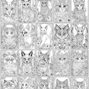 Printable Cat Coloring Pages Mandalas Style Cat Portrait Adult Coloring ...
