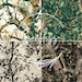 16 Real Tree Camo Patterns, Digital Papers, Seamless Patterns ...