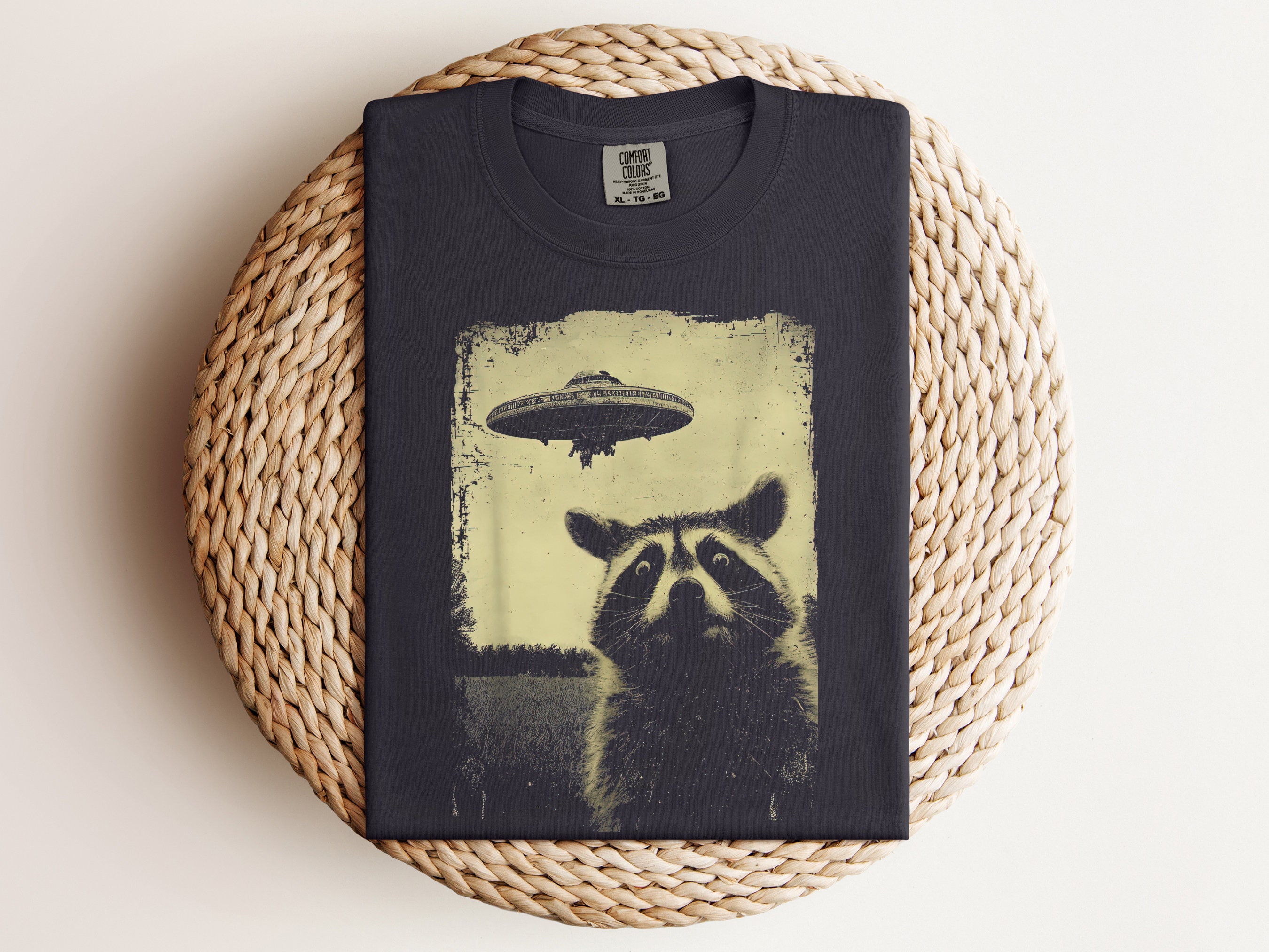Raccoon Ufo Funny Graphic T Shirt, Retro Alien Shirt, Cool Vintage Style Raccoon Shirt ...