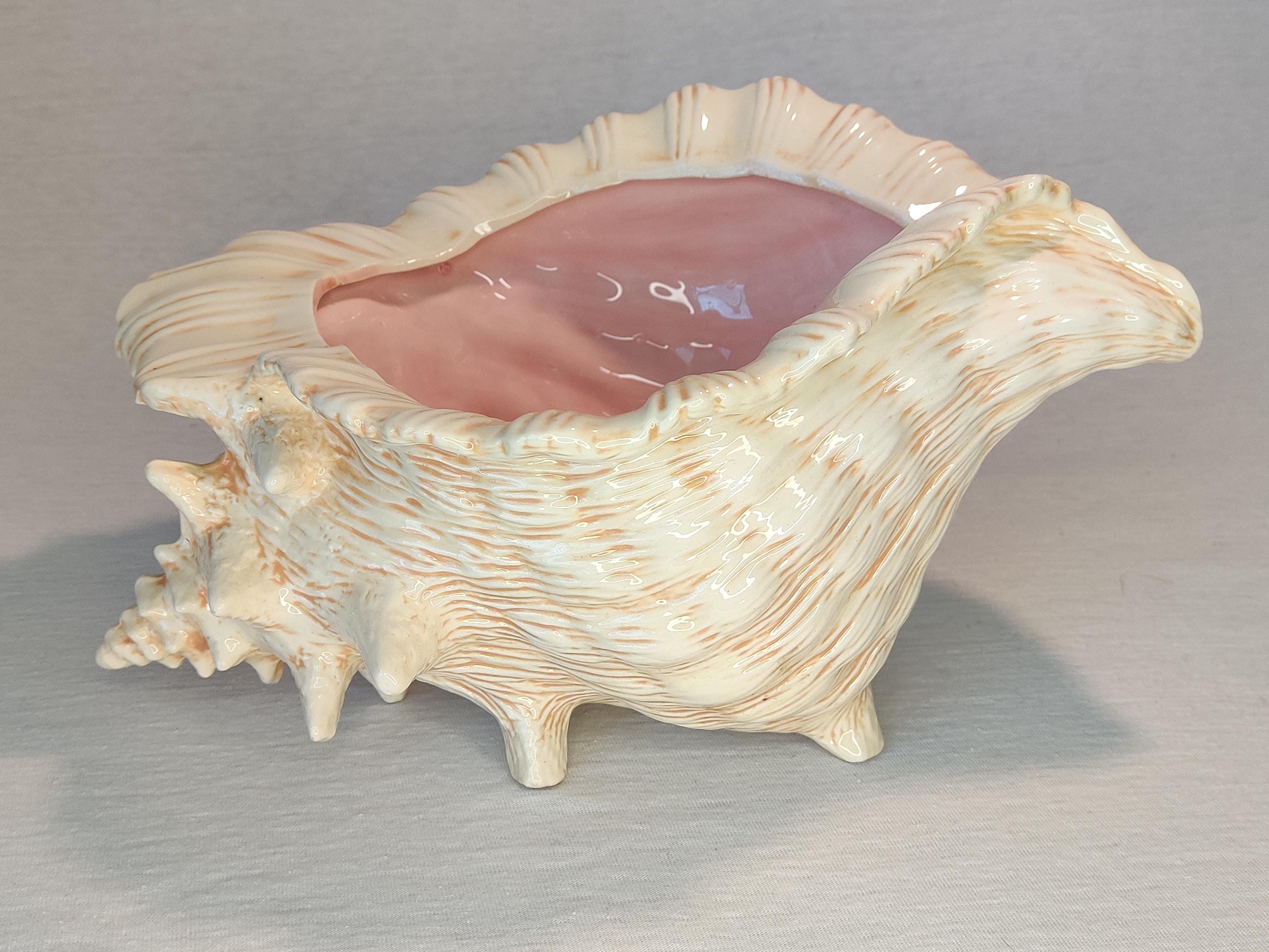 Vintage Conch Shell Ceramic Art Atlantic Mold - Etsy