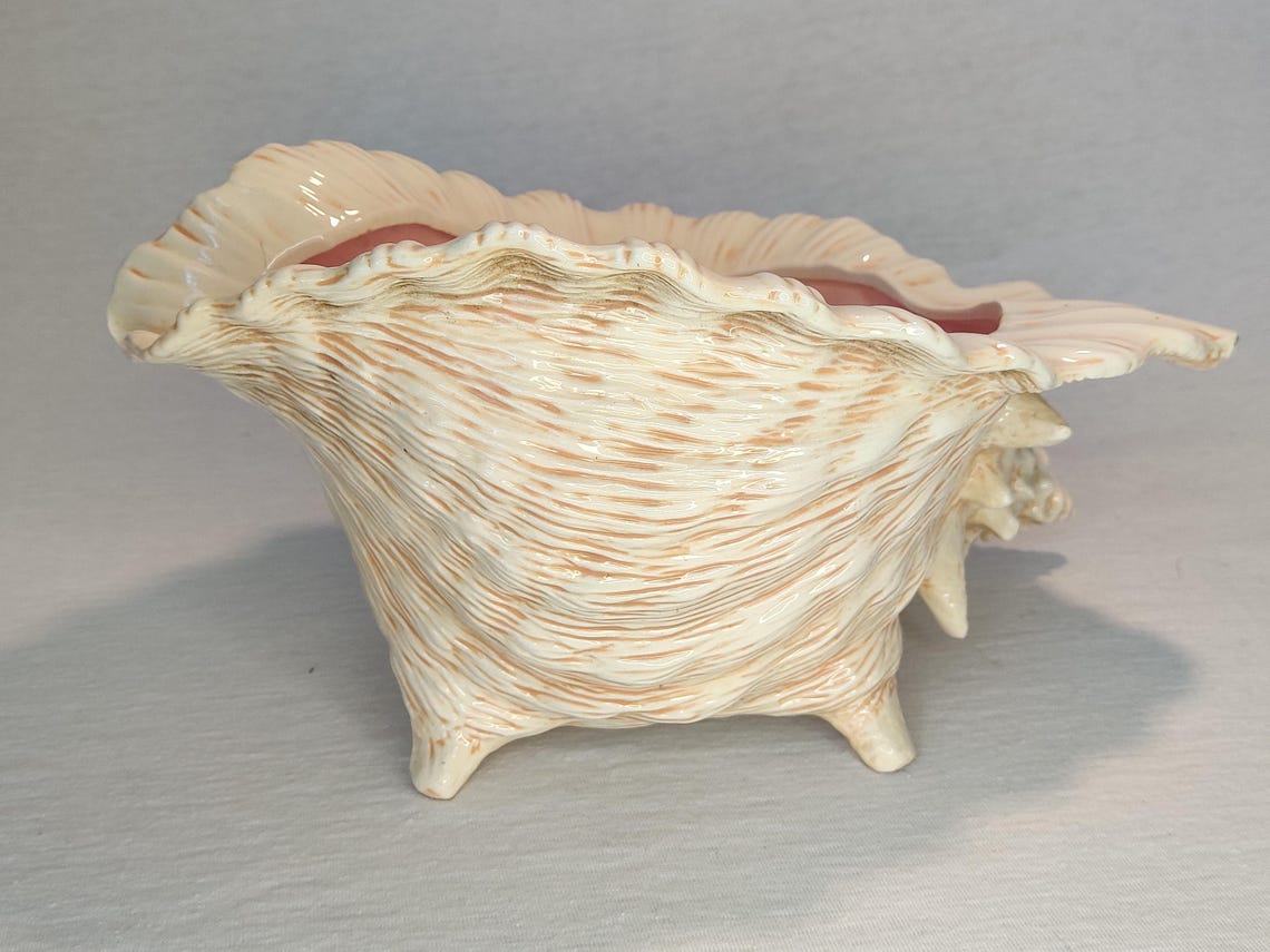 Vintage Conch Shell Ceramic Art Atlantic Mold - Etsy