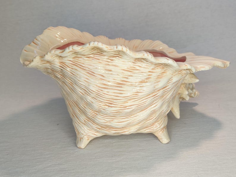 Vintage Conch Shell Ceramic Art Atlantic Mold - Etsy