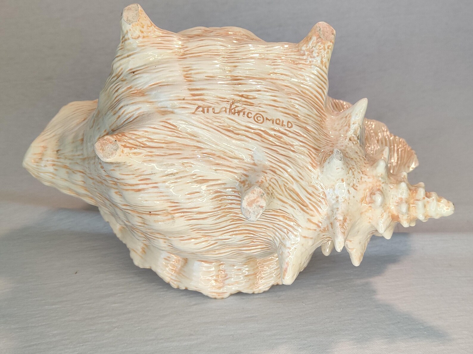 Vintage Conch Shell Ceramic Art Atlantic Mold - Etsy