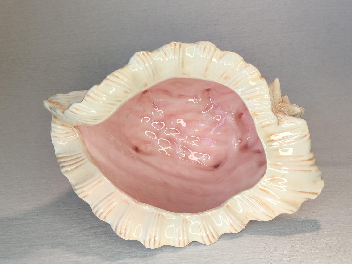 Vintage Conch Shell Ceramic Art Atlantic Mold - Etsy